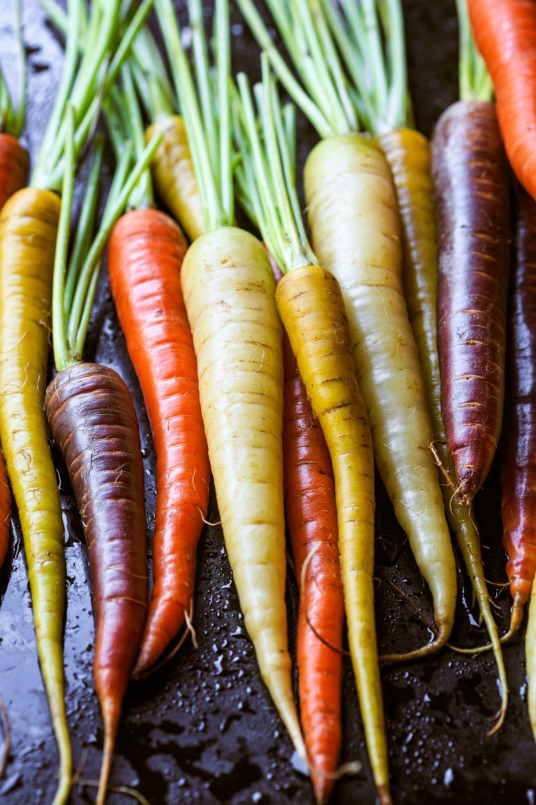 Karotten pflanzen: Die ultimative Anleitung für eine perfekte Ernte ...